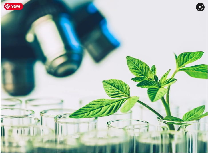 Phytogenics - Trouw Nutrition