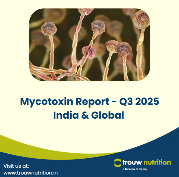 Mycotoxin Report for India: Quarter3-2025 - Trouw Nutrition